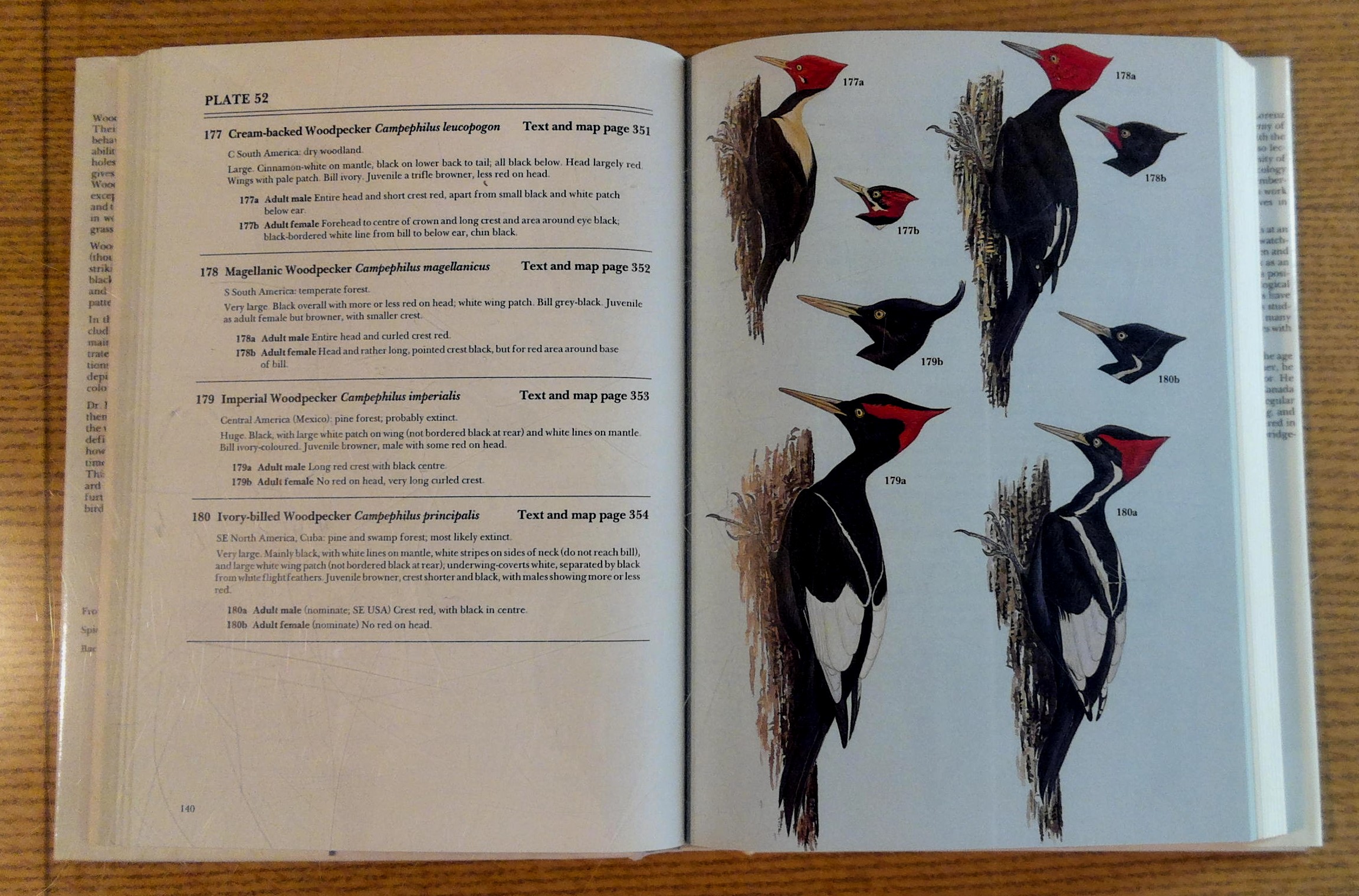 Woodpeckers: A Guide to the Woodpeckers of the World