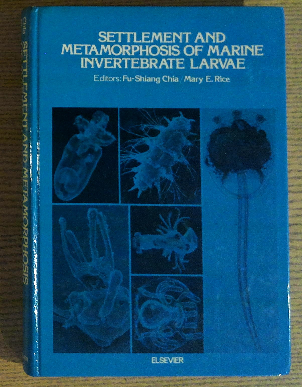 Pistil Books Home Page